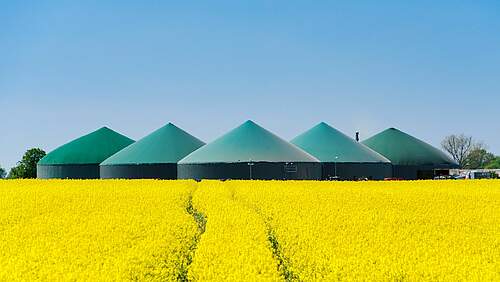 Deutscher Bauernverband e.V. - Entschärfung bei Erlösabschöpfung auf Biogas