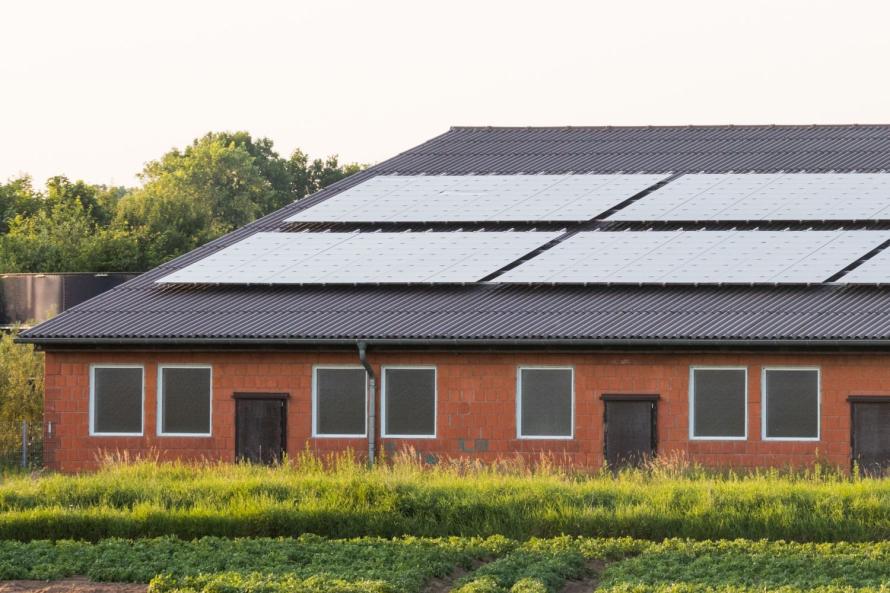 Potenziale und Synergien von Agri-Photovoltaik im EEG nutzen | dbv